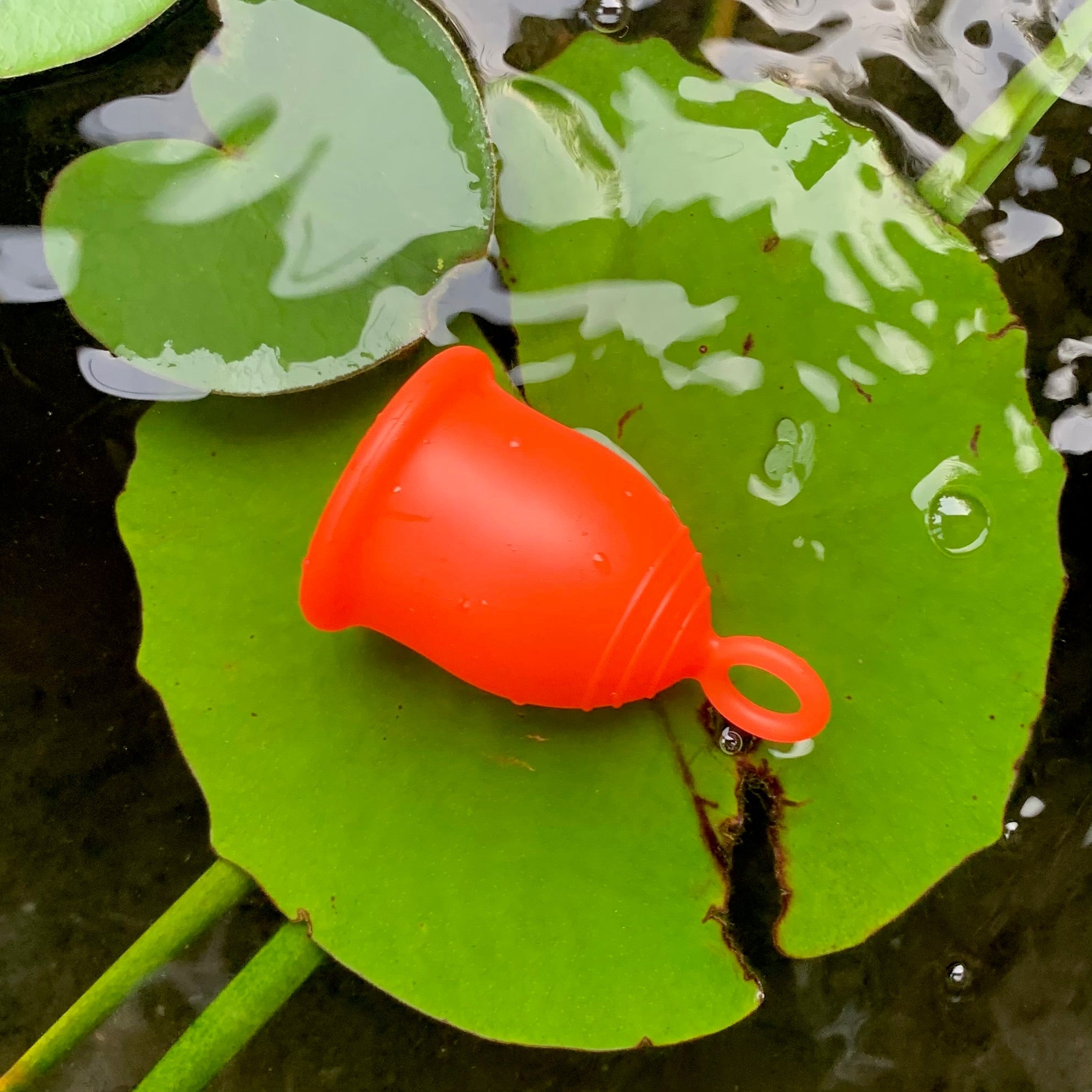 Best menstrual cup for a sensitive bladder – Asan UK