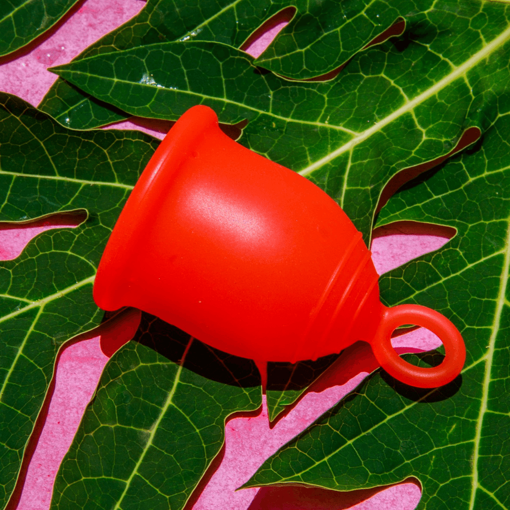 Best menstrual cup for beginners – Asan UK