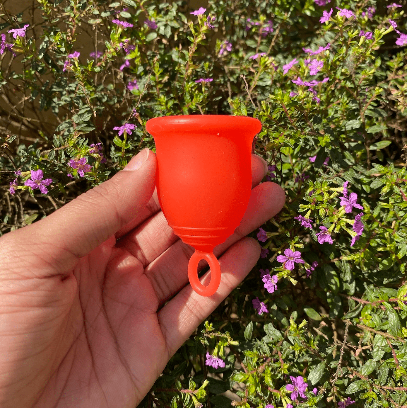 What is a menstrual cup? – Asan UK